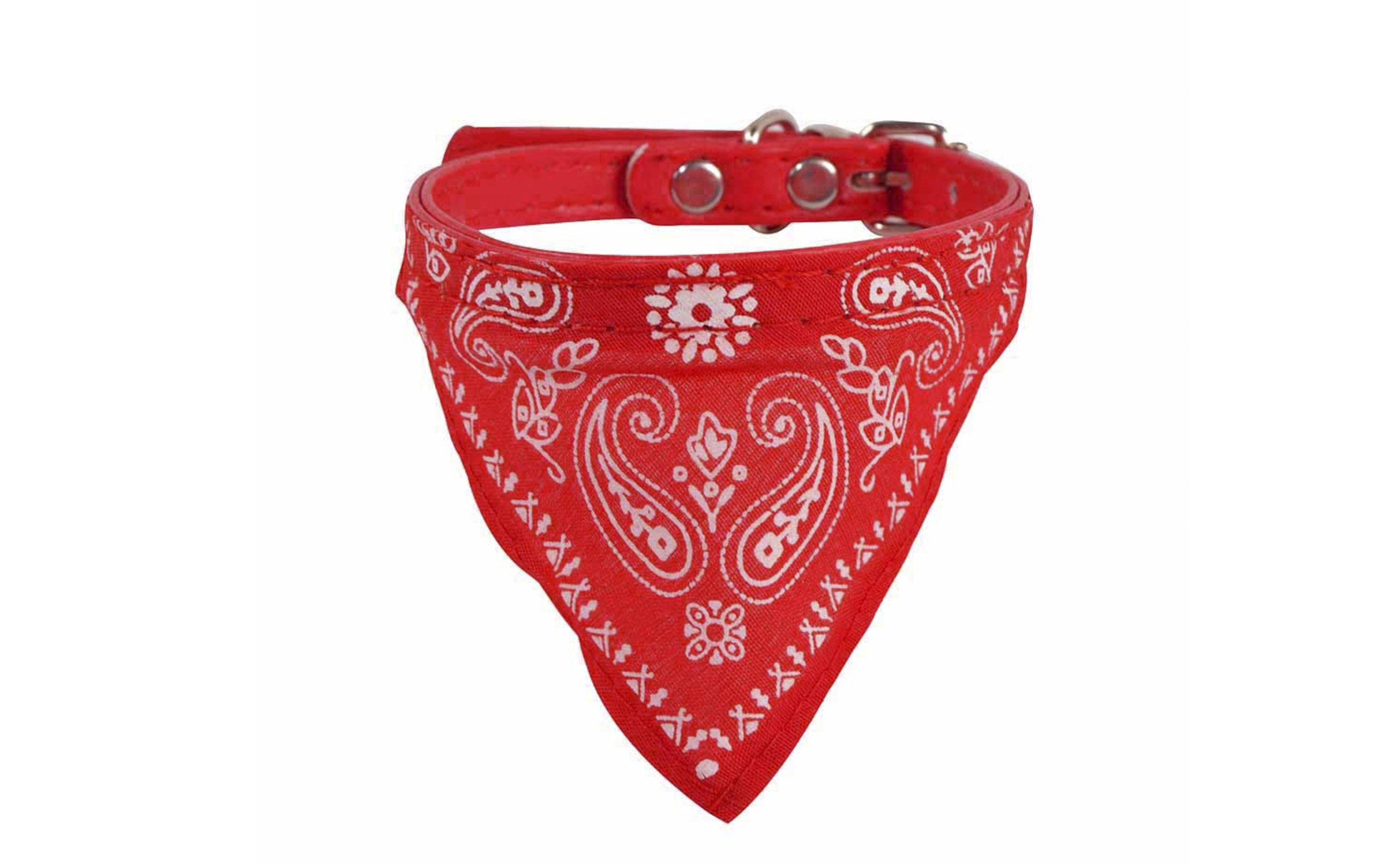 Cuatro accesorios para perros que sus mascotas van a adorar